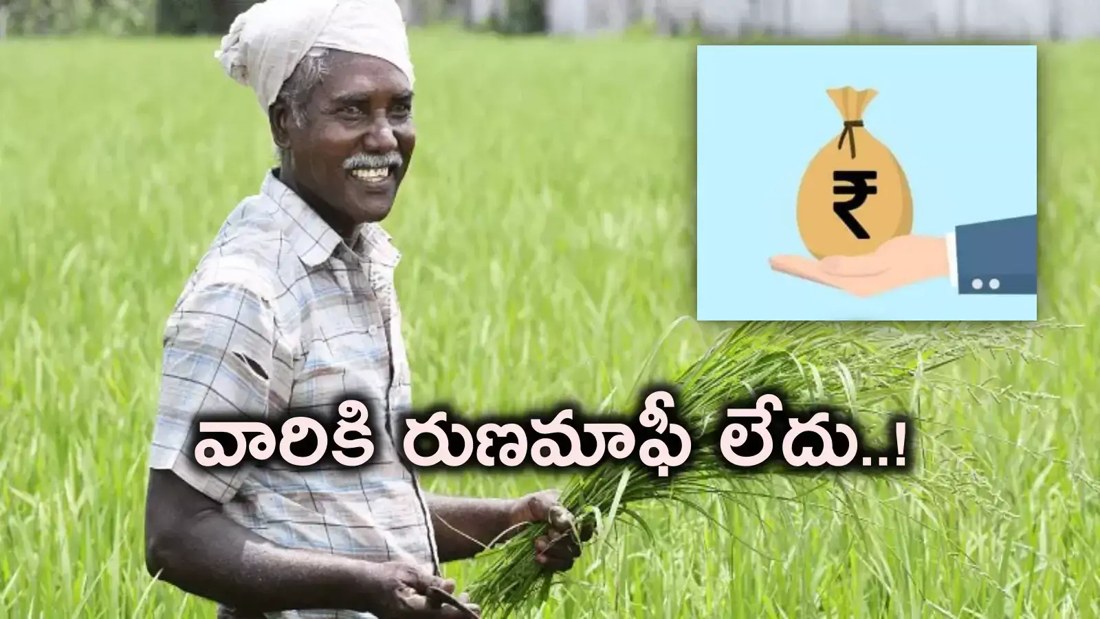 Telangana Government Waives 2 Lakh Runa Mafi in Installments - Rythu Runa Mafi : రూ. 2 లక్షల ...