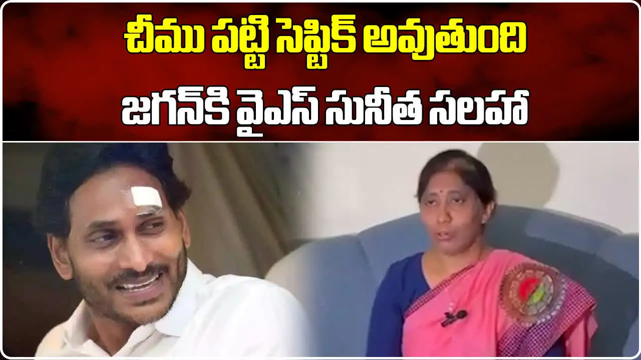 ఆంధ్రప్రదేశ్ ఎన్నికలు,YS Sunitha: జగనన్నా.. డాక్టర్‌గా మీకొక సలహా.. అలా చేస్తే చీము వస్తుంది ...