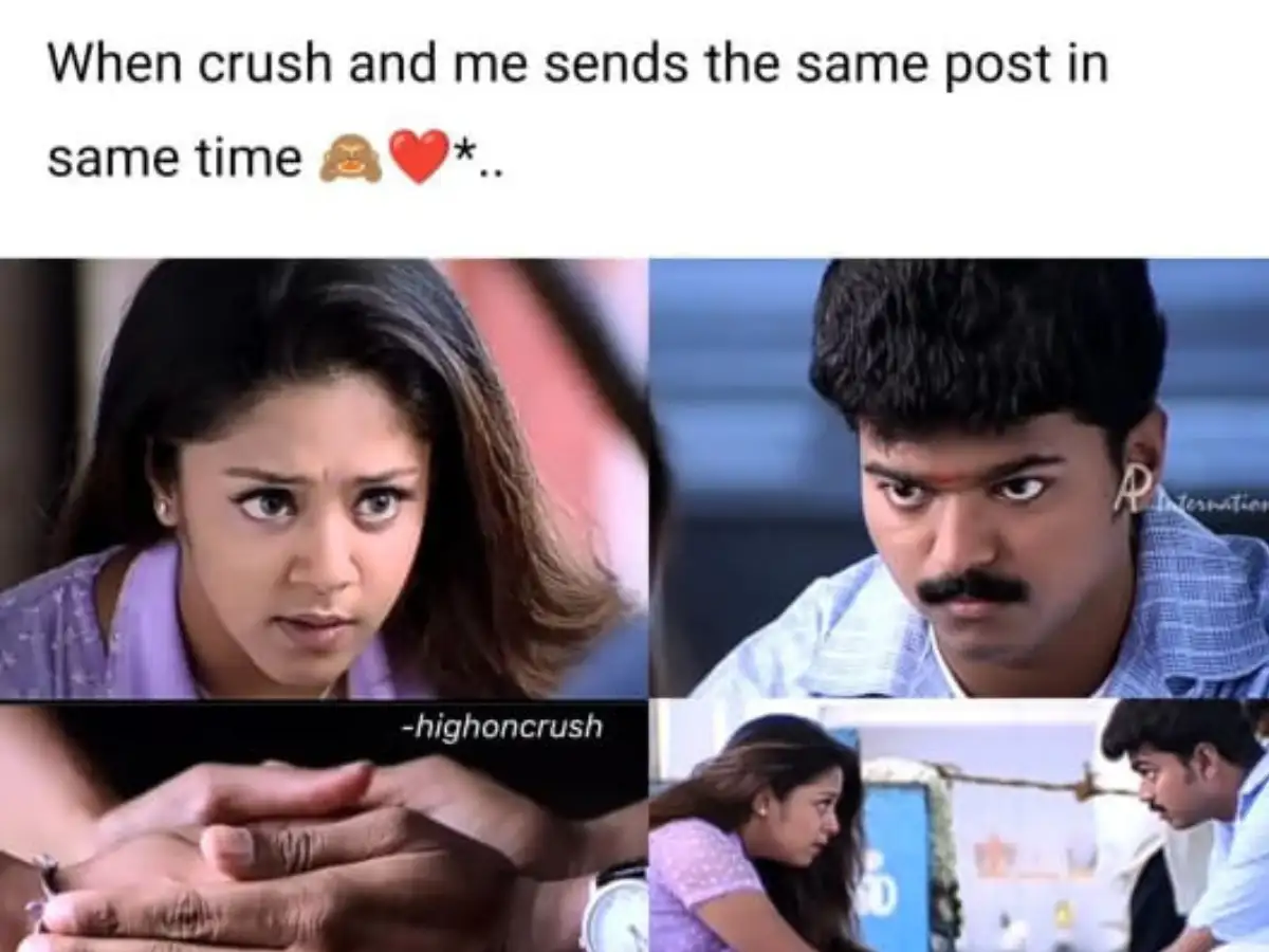Crush Memes Tamil,Crush Memes Tamil : பிரியாணி பண்ணுவியா? சப்பாத்தி ...