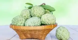 Sithaphalam,సీతాఫలం.. రుచి మధురం.. ఆరోగ్యం పదిలం - amazing health ...