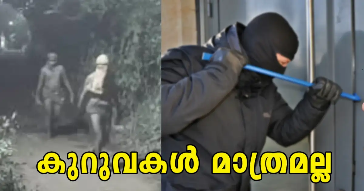 Kuruva Sangam In Kerala,കുറുവകൾ മാത്രമല്ല, ഇതര സംസ്ഥാന മോഷ്ടാക്ക ...