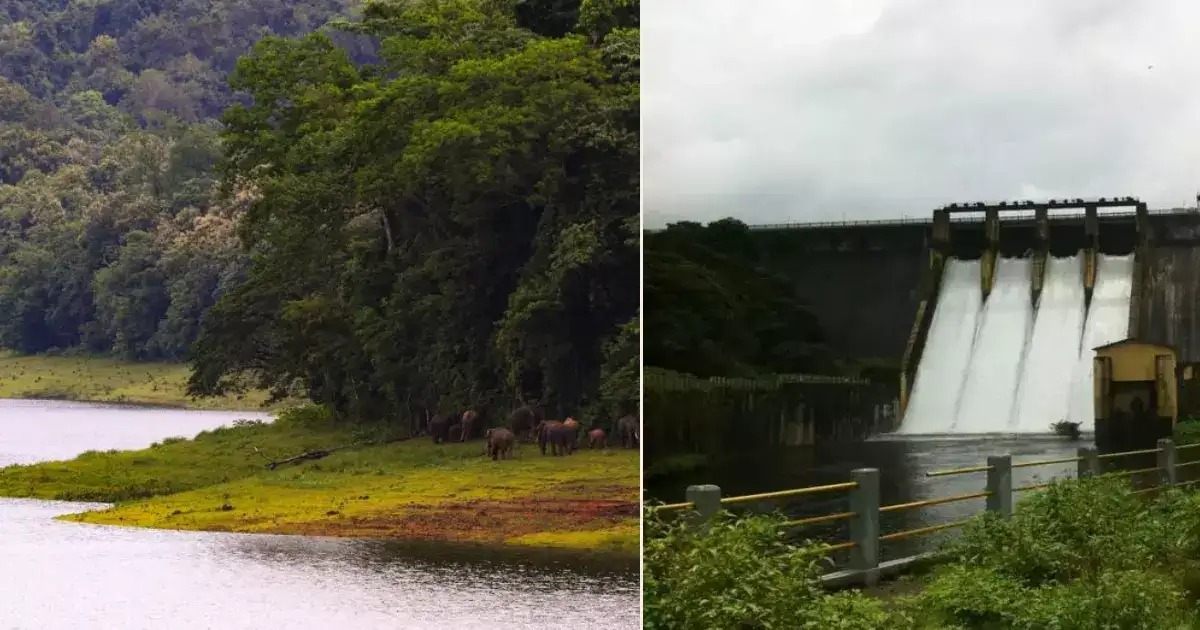 Chimmini Dam Entry,സൈക്കിളിങ്ങും ട്രക്കിങ്ങും കുട്ടവഞ്ചി യാത്രയും ...