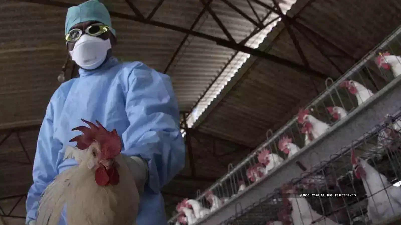 Expired Chicken Meat Caught In Riyadh,എക്‌സ്പയറി കഴിഞ്ഞ നാലുട ...