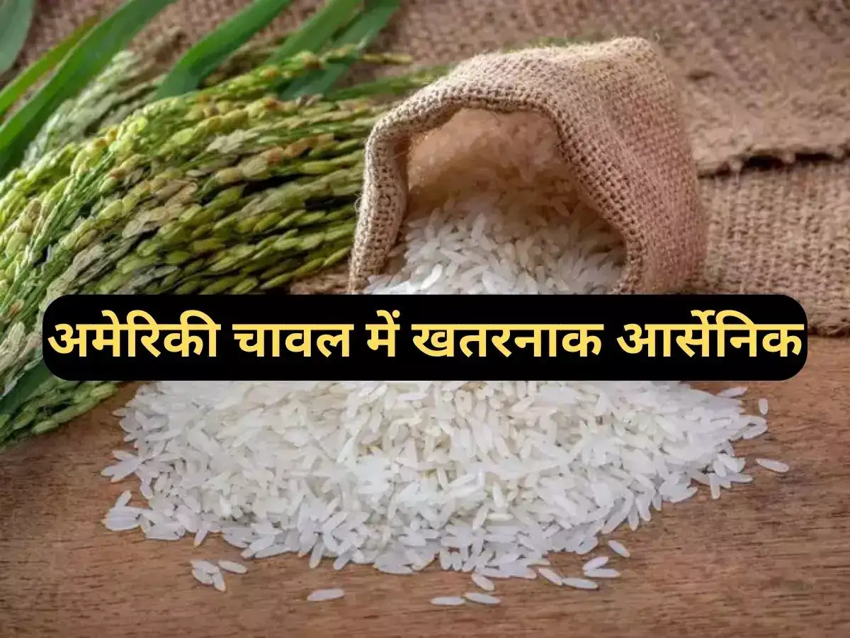 Arsenic In Rice,भारत ने सप्लाई क्या रोकी, दुनिया को आर्सेनिक वाला चावल ...