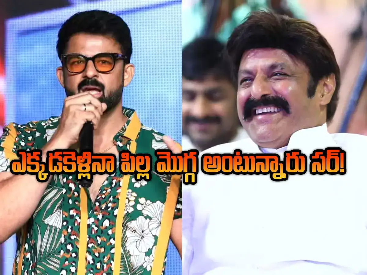 Nandamuri Balakrishna,నా కొడుకు నన్ను పిల్ల మొగ్గ అని తిడుతున్నాడు ...
