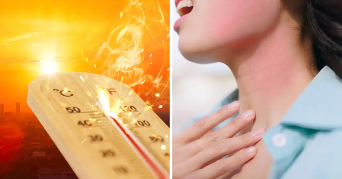 Heat Rashes Ghamori Home Remedies : उन्हाळा व गरमी वाढली असून ...