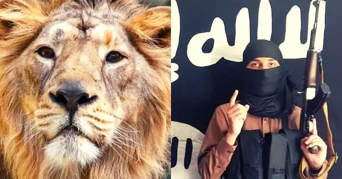 Animals Kill ISIS Terrorists : Islamic State Terrorist Killed And Eaten ...