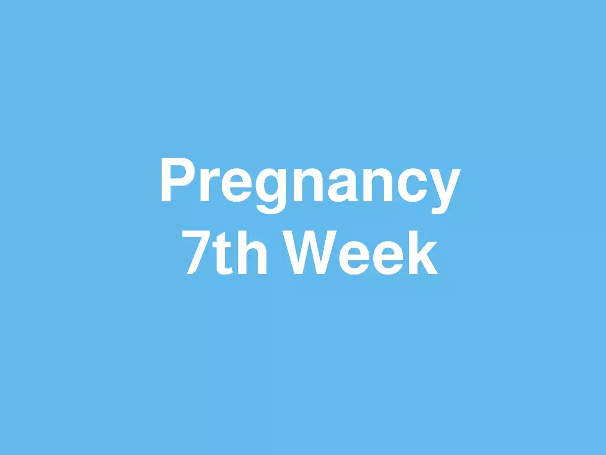 7 Weeks Pregnant,7 Weeks Pregnant: ഏഴാം ആഴ്ചയിലെ പ്രധാന ലക്ഷണങ്ങളും ...