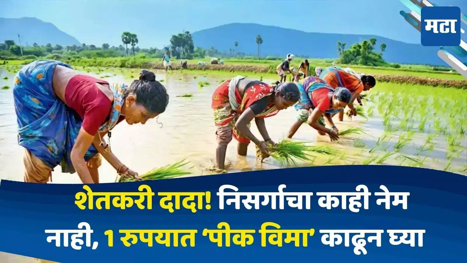 mumbai| Crop Insurance Scheme : बळीराजा..! निसर्गाचा काही नेम नाही, 1 ...