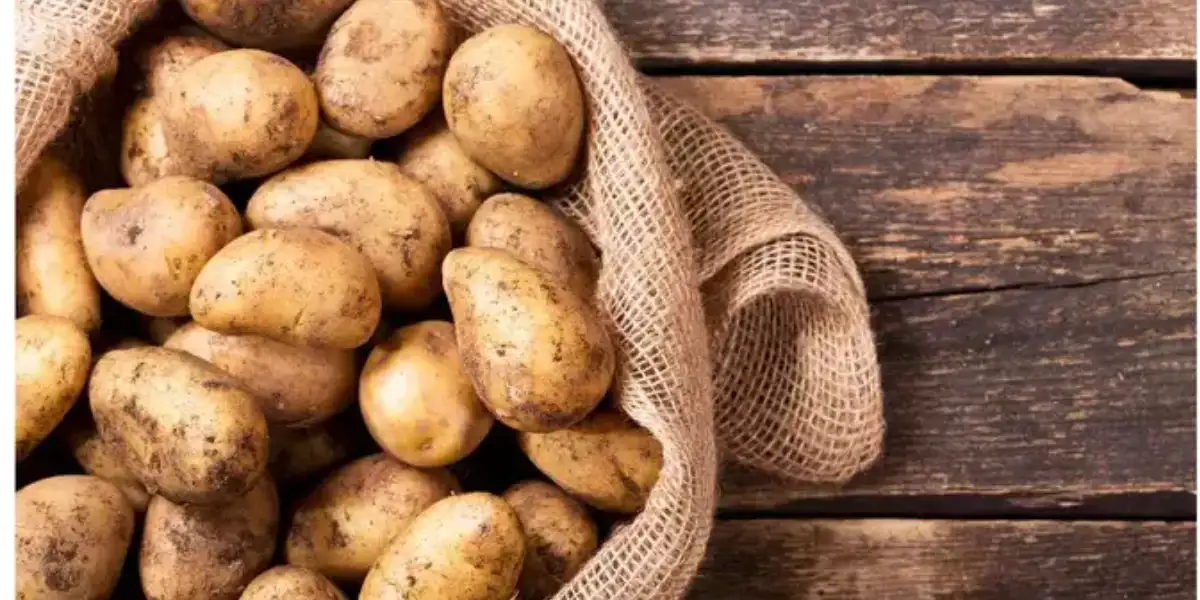 World Most Expensive Potato,जगातील सर्वात महागडा बटाटा, एका किलोसाठी ...