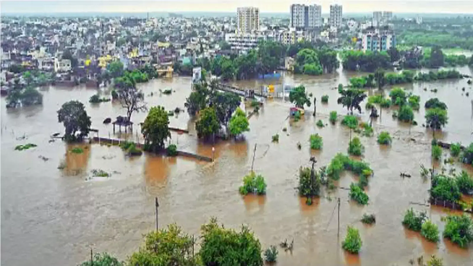 Vidarbha Rain Update: पूर्व विदर्भात मुसळधार! भंडारा, गडचिरोलीसह 'या ...