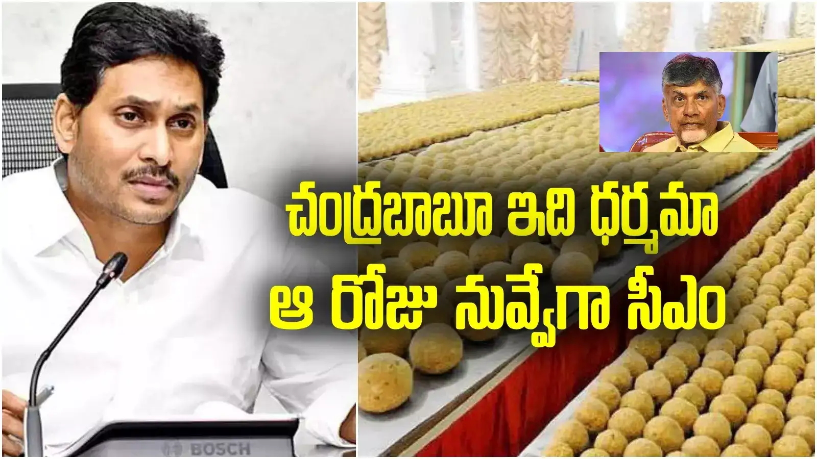 Ys Jagan On Tirupati Laddu,TTD Laddu: ఇది తిరుపతిలో రొటీన్‌గా జరిగే ప్రక్రియ.. మరి కల్తీ ఎలా ...