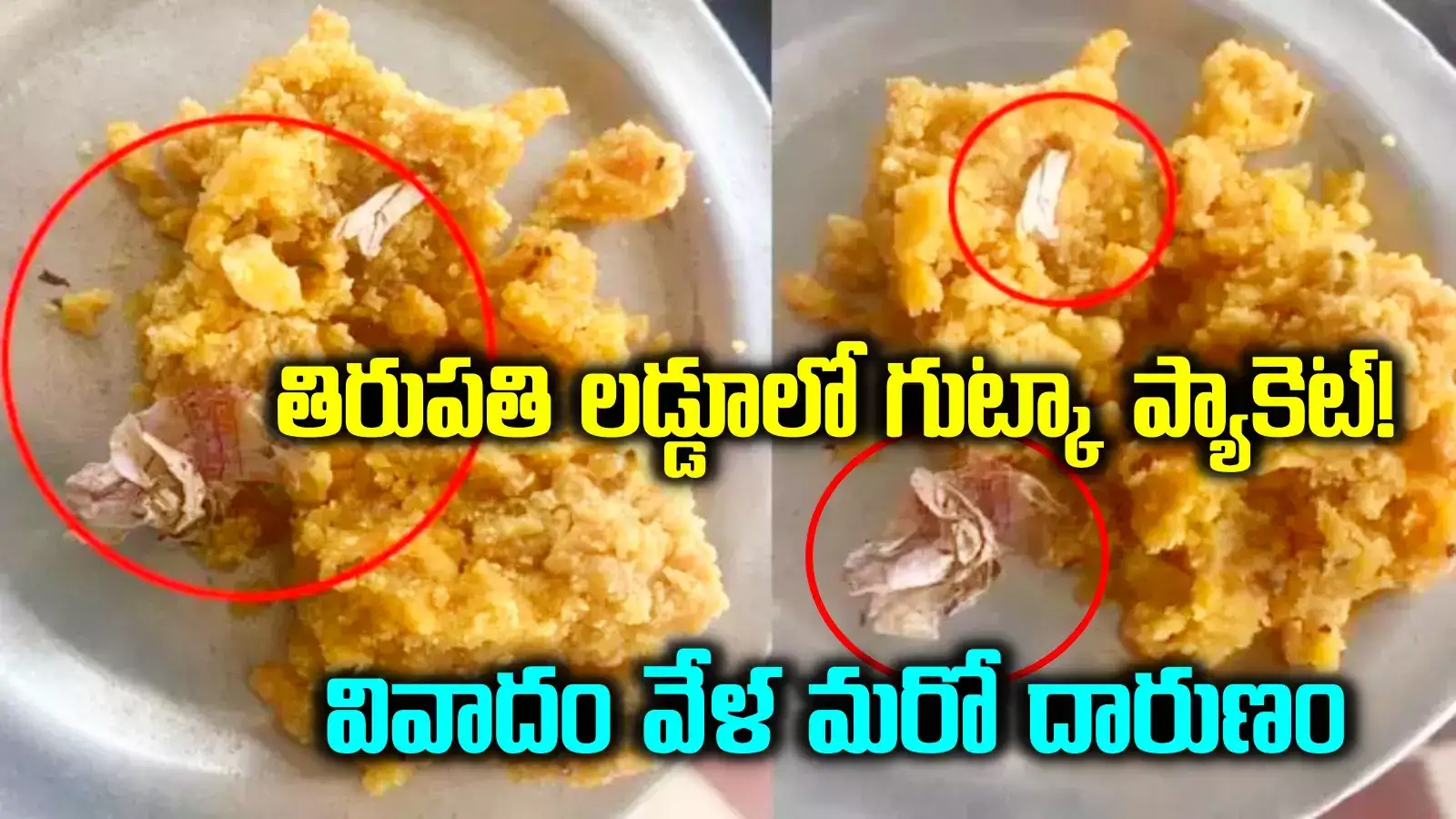 Gutka Packet In Tirupati Laddu,తిరుపతి లడ్డూలో గుట్కా ప్యాకెట్.. వివాదం ...