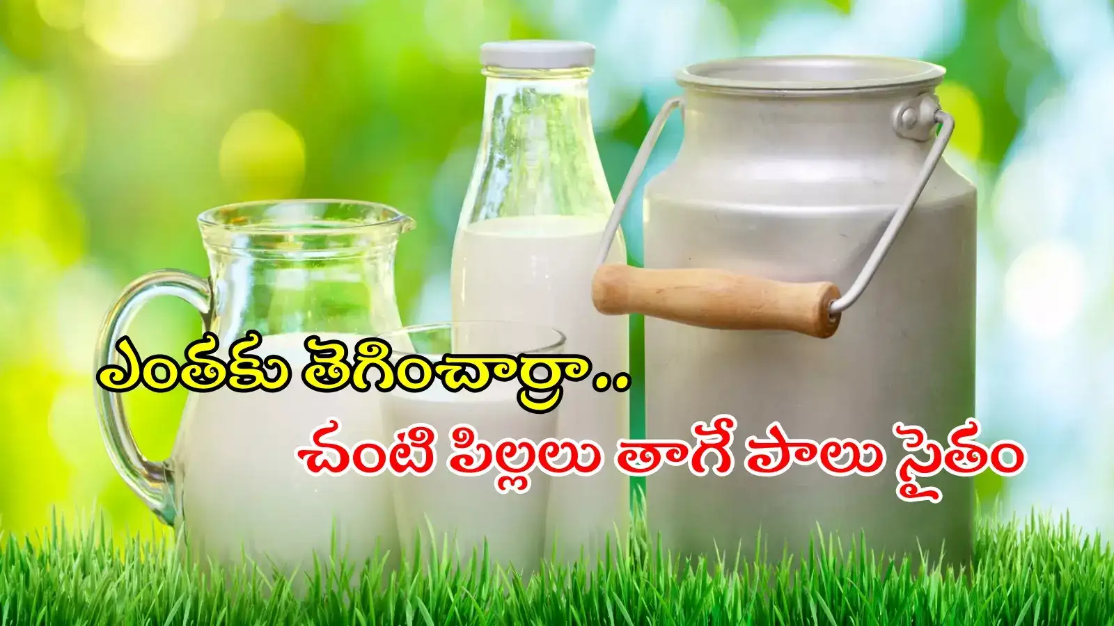 Hyderabad Milk,HYD: ఈ బ్రాండ్ల పాలు తాగుతున్నారా.. యాసిడ్, పామాయిల్‌తో ...