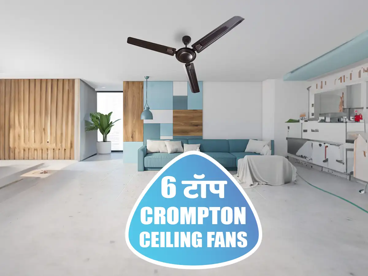 Ceiling Ka Matlab Kya Hai | Shelly Lighting