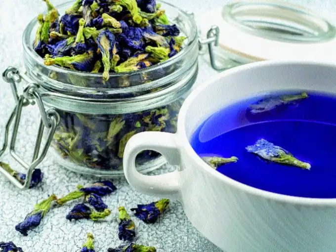 Sangu Poo Tea Benefits,Sangu Poo Tea : உச்சி முதல் பாதம் வரை அத்தனை ...