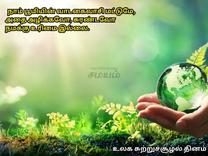 World Environment Day 2023 : அழிவை நோக்கி பூமி! காப்பாற்ற அழைப்பு ...