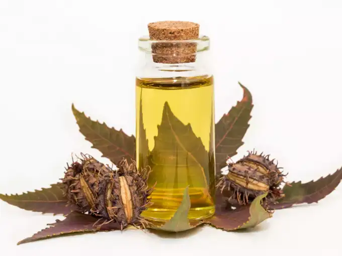 Thuthi Leaf Benefits : மோசமான ரத்த மூலத்தையும் ஒரே வாரத்துல சரிசெய்யும் ...