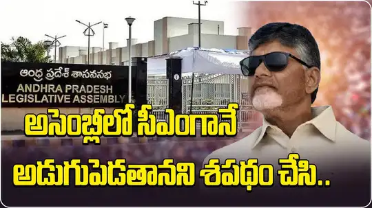 Andhra Pradesh Mlas List 2024,AP Assembly Winners List 2024: ఏపీ ...