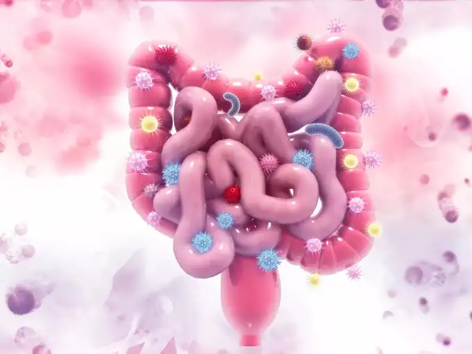 Kudal Cancer Arikurikal,குடல்ல புற்றுநோய் இருந்தா எப்படி ...