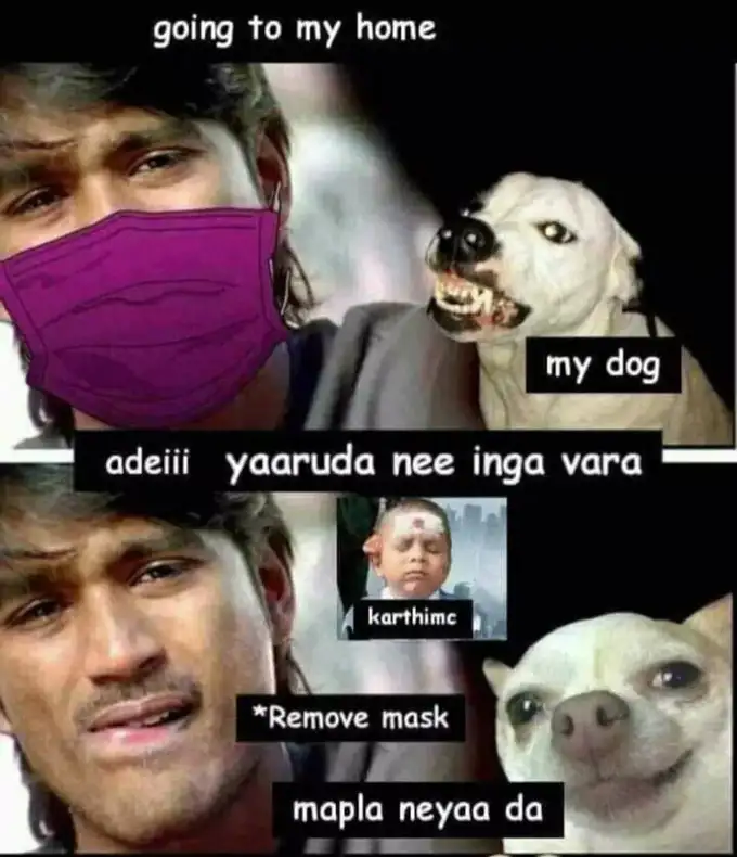 டிரெண்டாகும் Cheems மீம்ஸ்...