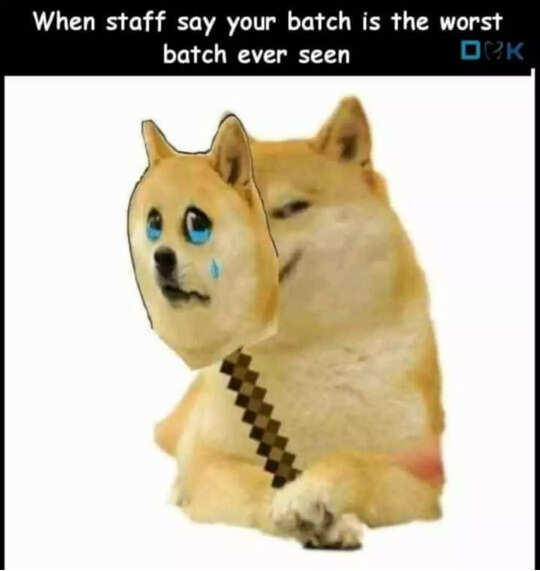 cheems-doggo-meme-indianmeme-hd-phone-wallpaper-peakpx-50-off