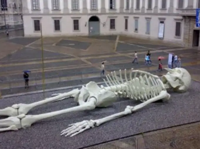 क्या यह कंकाल भीम के बेटे का है?