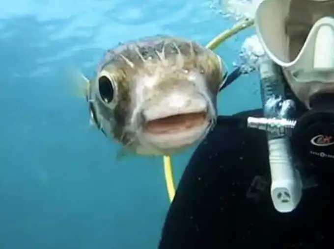 Instagram/Jules Casey