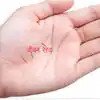 know the double life line meaning in palmistry