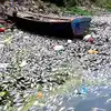 water pollution