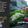 good morning wishes whatsapp status images with flowers and posters in ...
