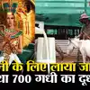 queen cleopatra donkey milk