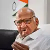 sharad pawar net worth