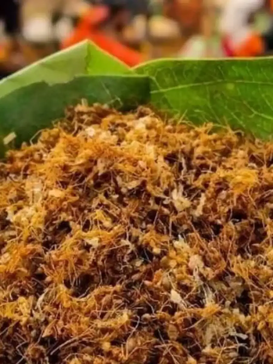 odisha GI Tag red ant chutney : ஒடிசா ஸ்பெஷல் 'சிவப்பு எறும்பு சட்னி ...