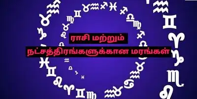 Nakshatra trees : Rasi Trees: ராசி மற்றும் நட்சத்திரங்களுக்கான மரங்கள் ...