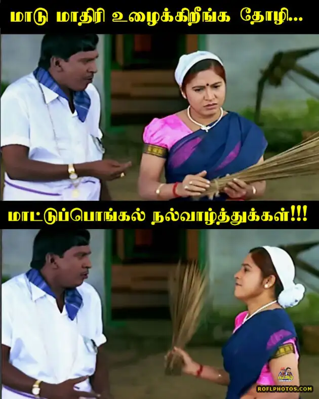 vadivelu pongal memes : பொங்கல் வாழ்த்துக்கள் வடிவேலு மீம்ஸ் ...