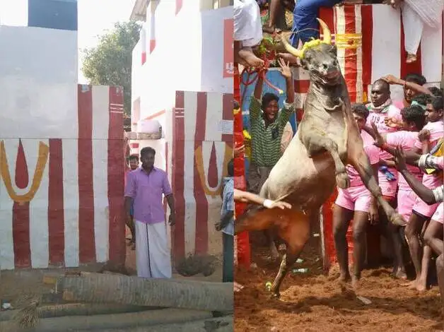 jallikattu 2020 : Thirunamam : ஜல்லிக்கட்டு வாடி வாசலில் நாமம் ஏன் ...