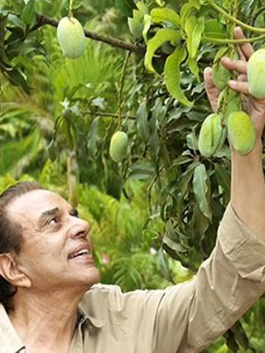 dharmendra farm house at lonavala | Navbharat Times