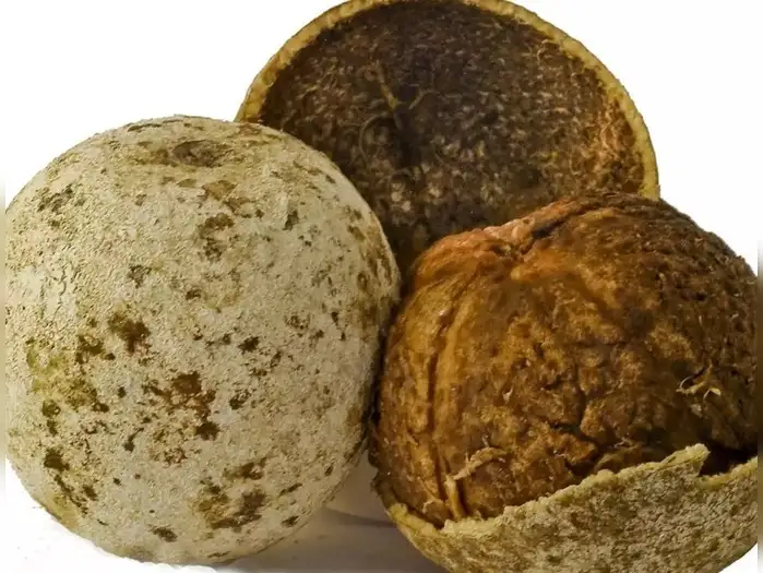 மருந்து வழியாக இல்லாமல் உணவு வழியாகவே நோய்கள் பலவற்றையும் ...