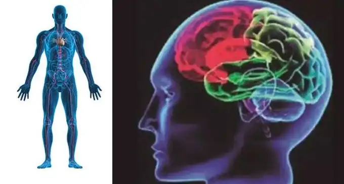 நரம்பு வலி என்பது