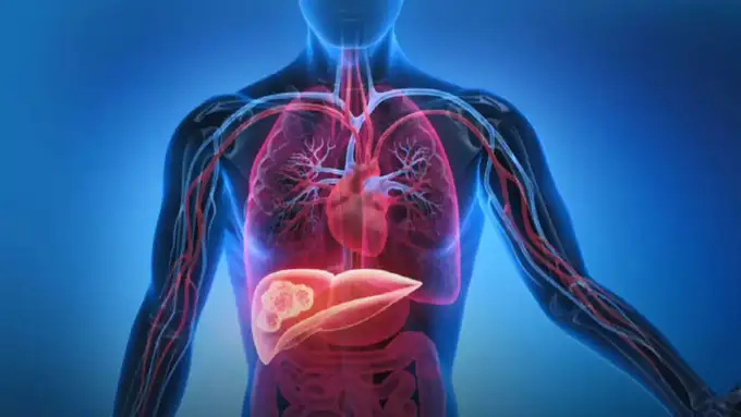 என்ன செய்ய வேண்டும்?