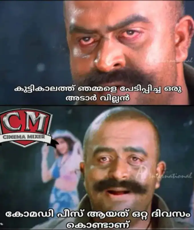 സിനിമയിലെ നിരവധി കഥാപാത്രങ്ങള്‍ ഇത്തരത്തില്‍ ട്രോളുകളില്‍ താരങ്ങളായി ...