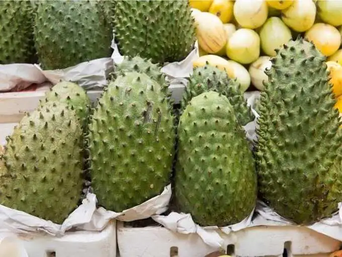 पाचन के लिए अच्छा है लक्ष्मण फल