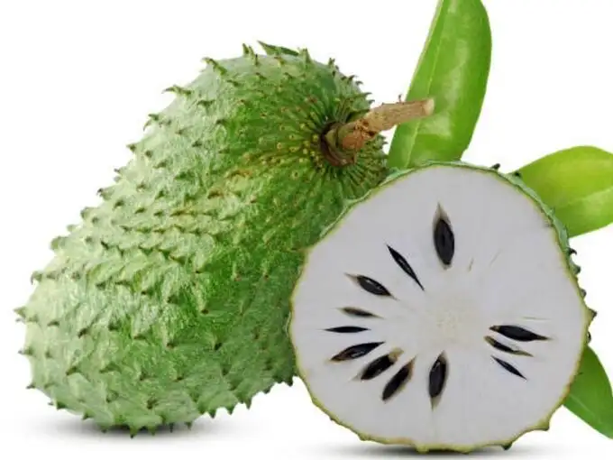 अनानास की तरह है लक्ष्मण फल की बनावट