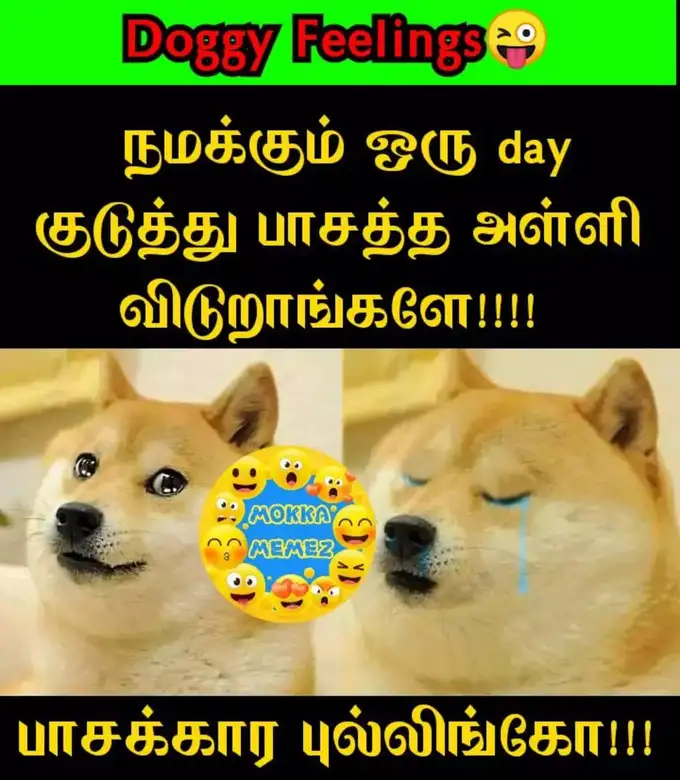 டிரெண்டாகும் Cheems மீம்ஸ்...