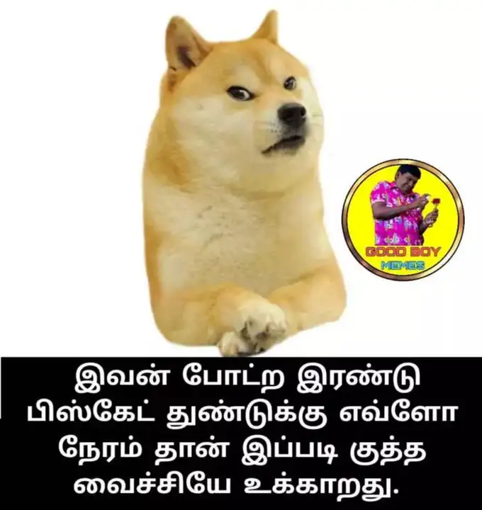 டிரெண்டாகும் Cheems மீம்ஸ்...