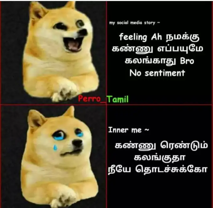 டிரெண்டாகும் Cheems மீம்ஸ்...