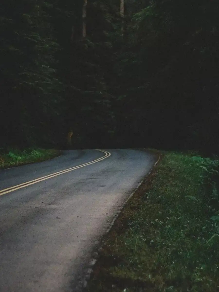 एनएच 209, तमिलनाडु - NH 209, Tamil Nadu in Hindi | Navbharat Times