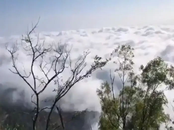 paradise on earth bailadila hills dantewada during monsoon video goes viral