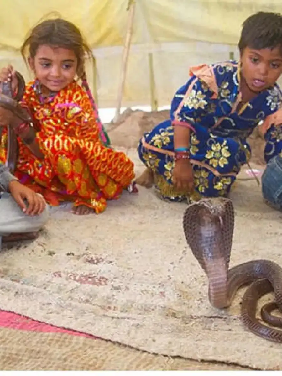 महाराष्ट्र में शेतपाल गांव - Shetpal Village in Maharashtra | Navbharat ...